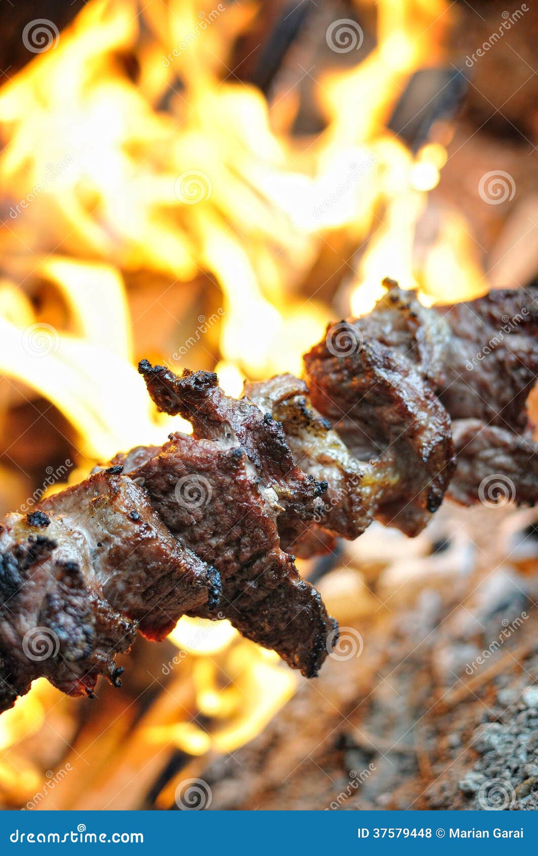 Meat on a spit stock photo. Image of cooking, rich, barbecue - 37579448