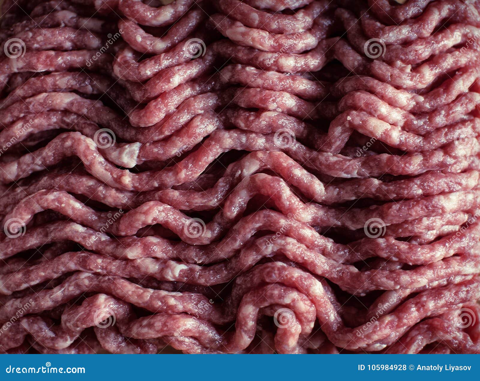 Meat stuffing close-up stock photo. Image of fresh, close - 105984928