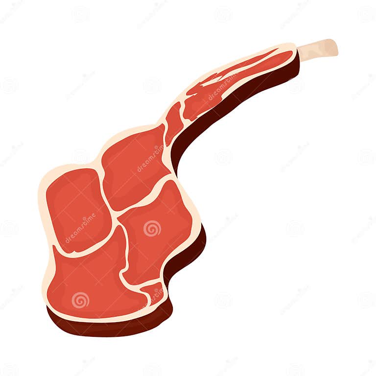 Meat t bone stock vector. Illustration of gourmet, natural - 273215748