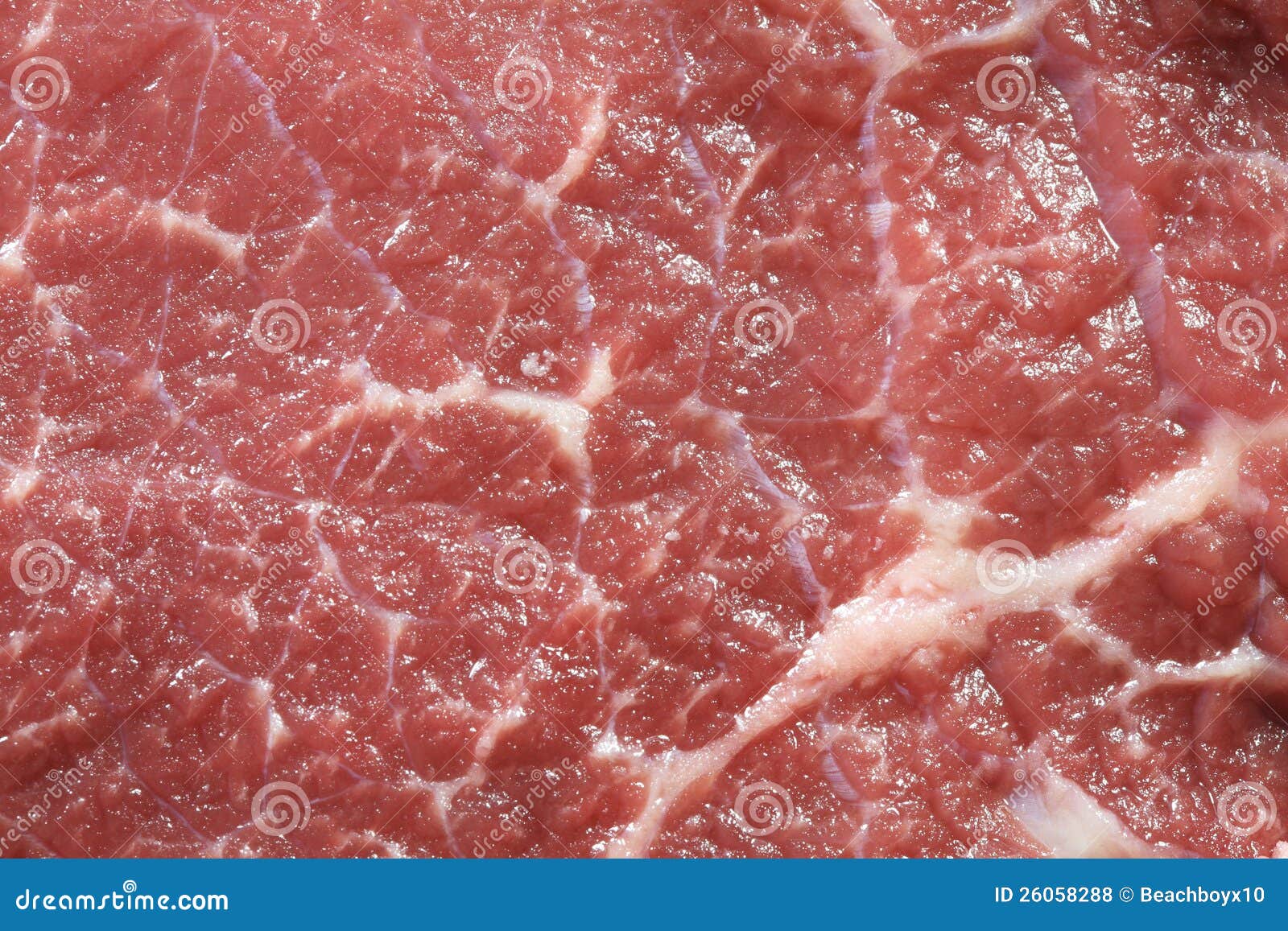 Meat texture. stock photo. Image of color, frame, closeup - 26058288