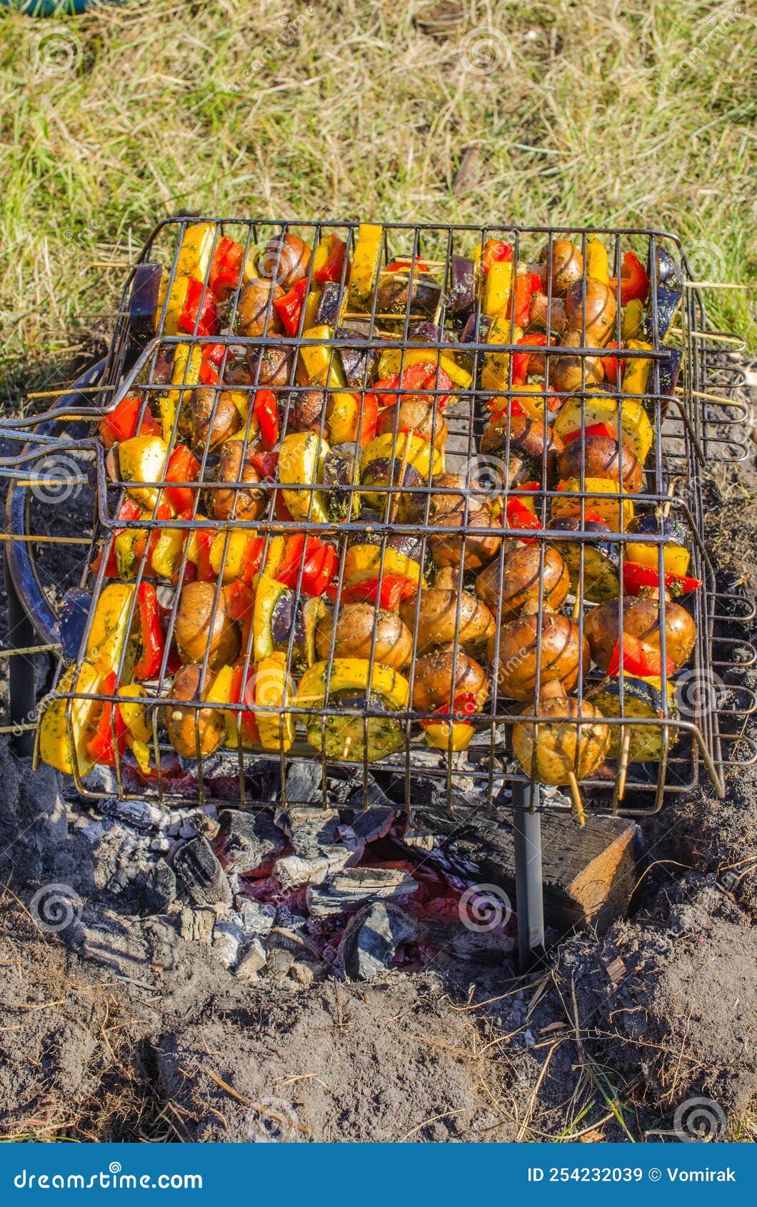 Meat with Vegetables in a Grill is Fried on a Fire Stock Image - Image ...