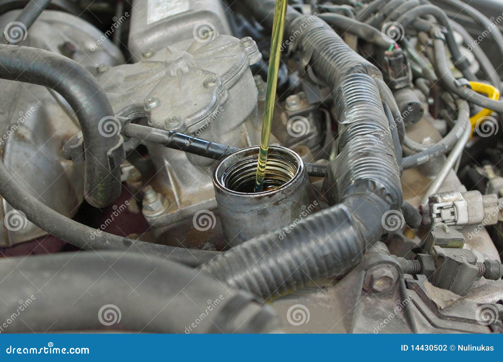 The mechanic adding oil stock photo. Image of pour, trip - 14430502