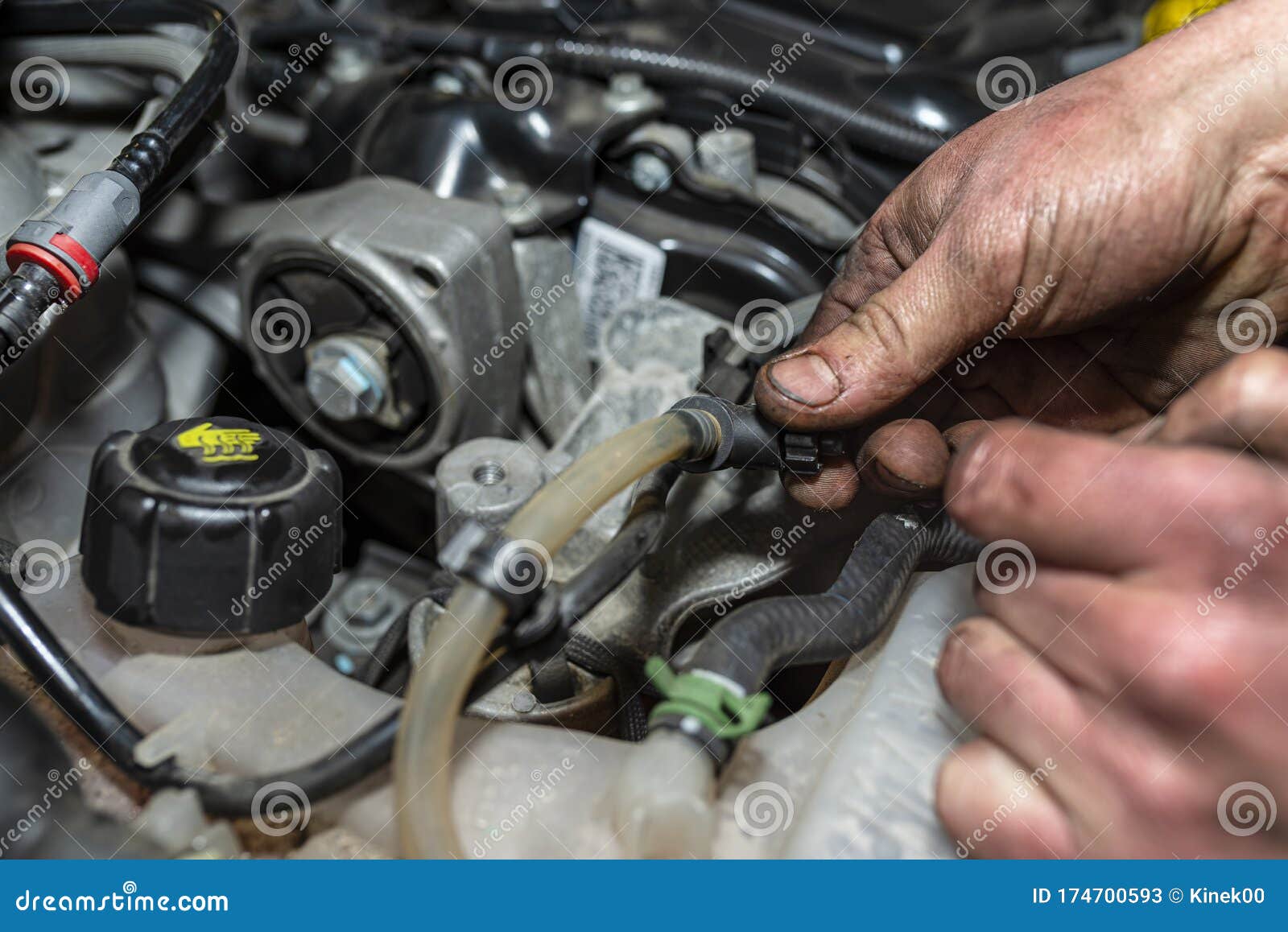 The Mechanic Bleeds the Fuel System with a Pump that is on the Fuel ...