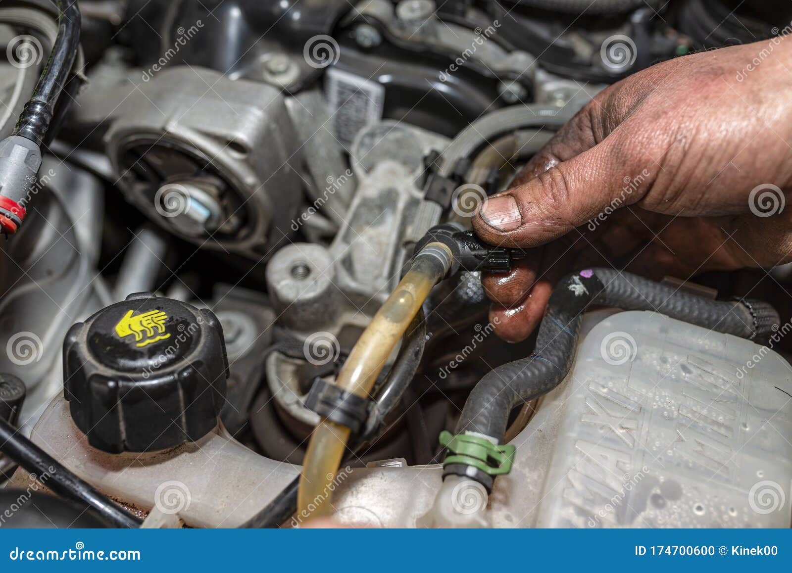 The Mechanic Bleeds the Fuel System with a Pump that is on the Fuel ...