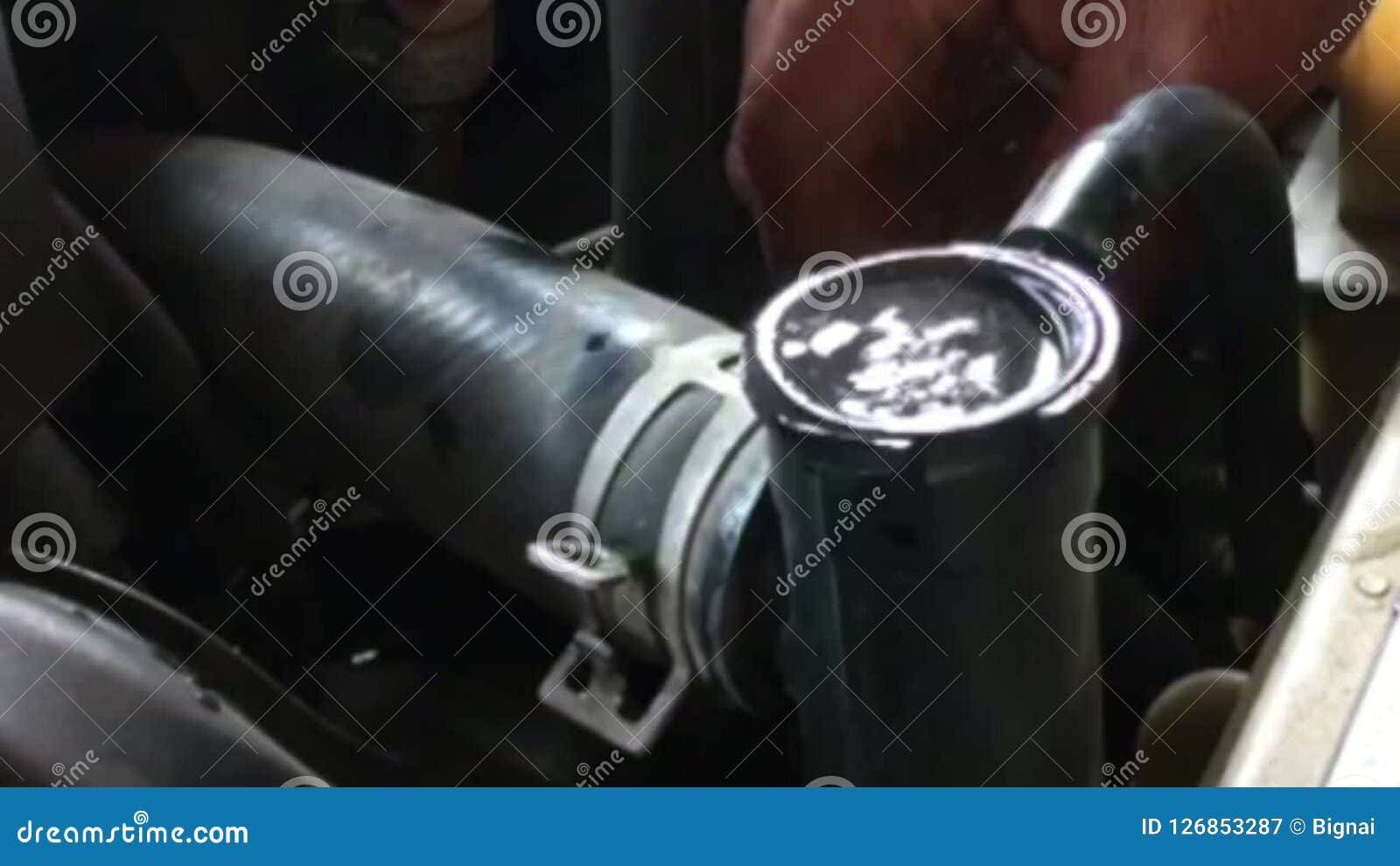 Mechanic Checking Car Radiator Overheating Engine Deterioration Repair ...