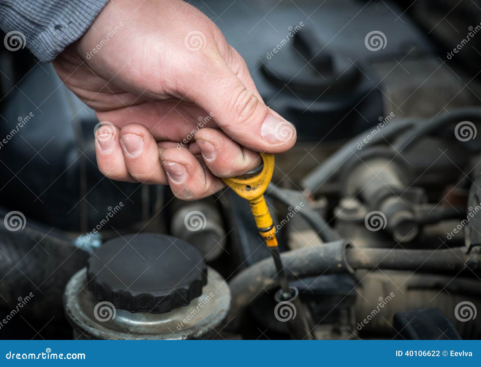 Mechanic checking oil. stock photo. Image of level, automotive - 40106622