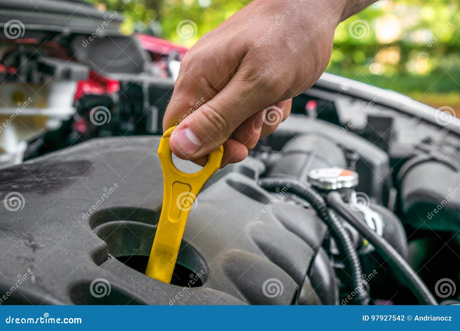 Mechanic Checking the Oil Level in a Car Engine Stock Photo - Image of ...
