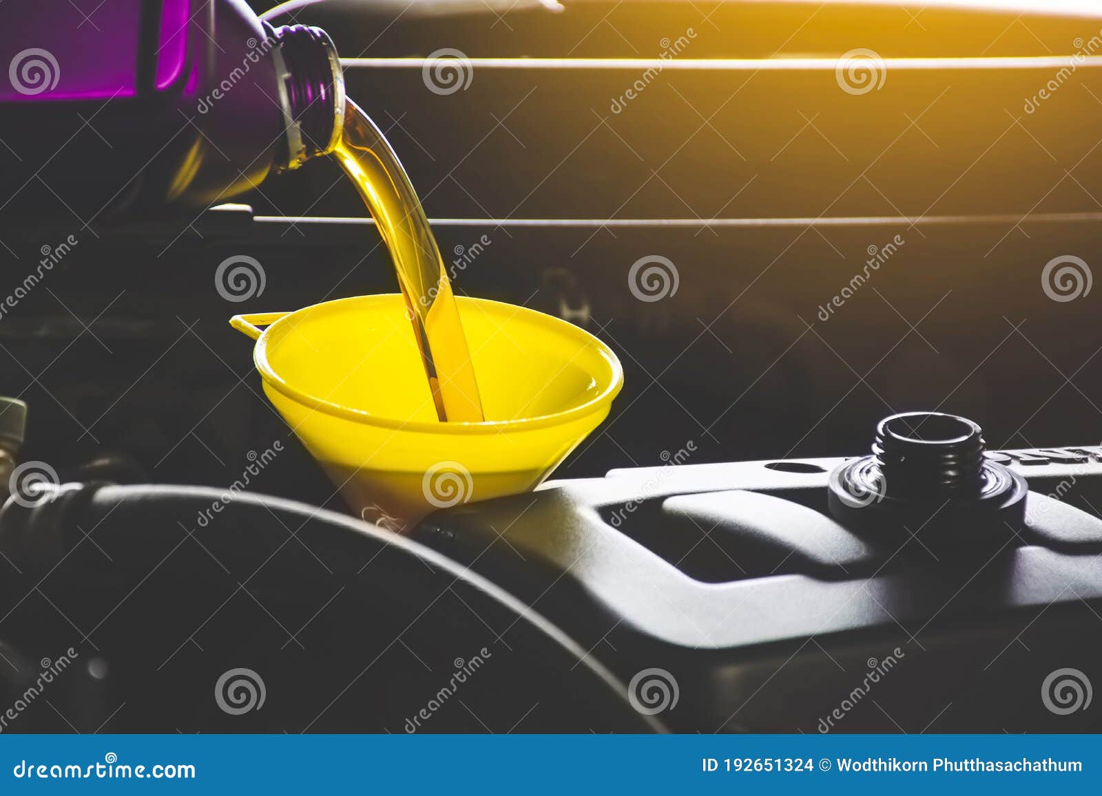 Mechanic Pouring Engine Oil To Car Engine Stock Photo - Image of color ...