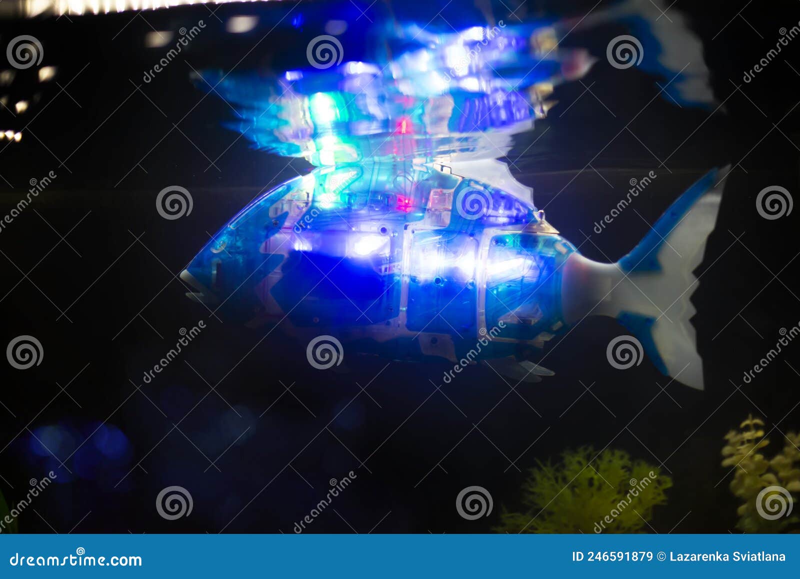 Mechanical fish stock image. Image of animal, electrical - 246591879