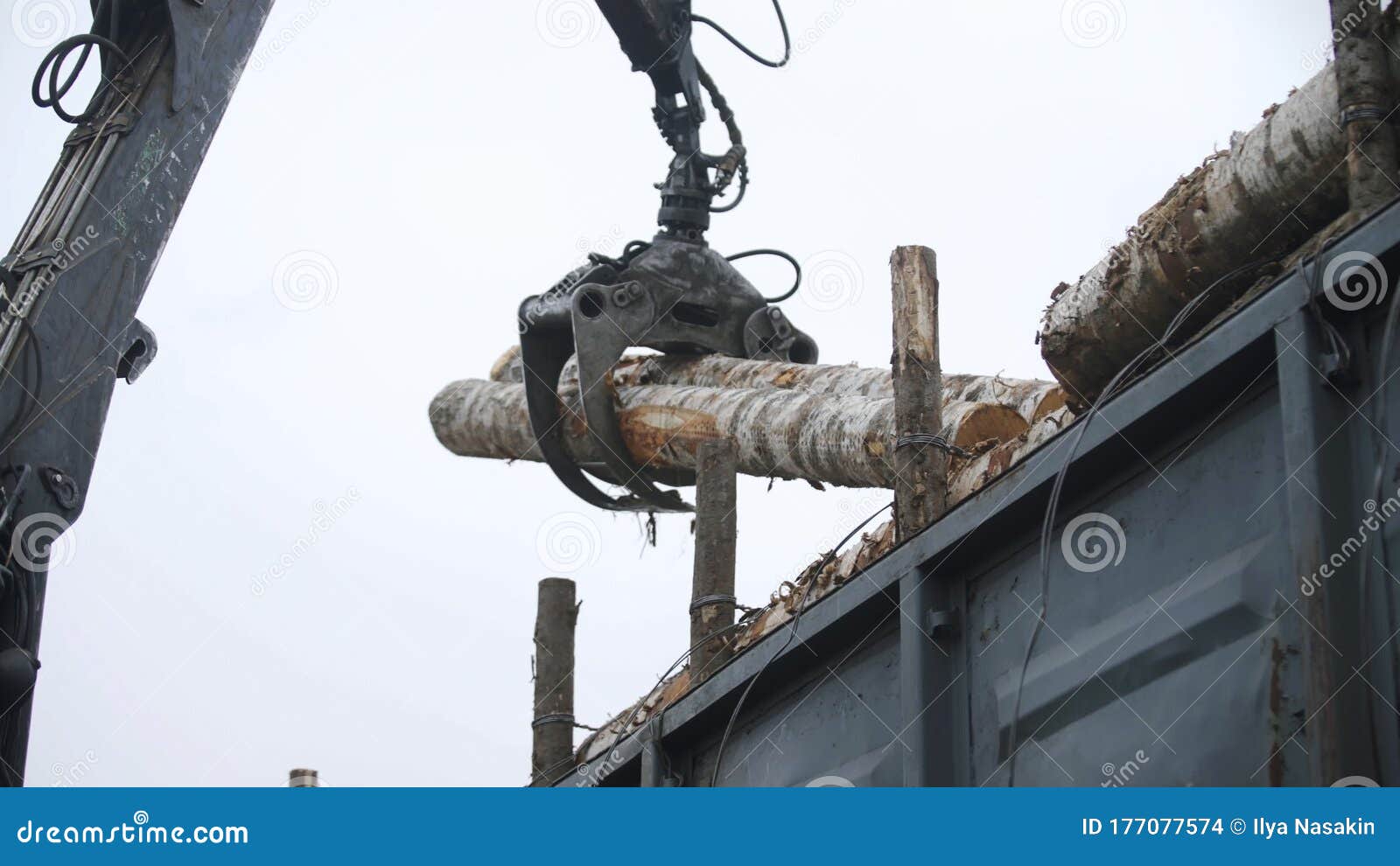 Mechanical Gripper Loading Lumber on To Car Train for Transportation on ...