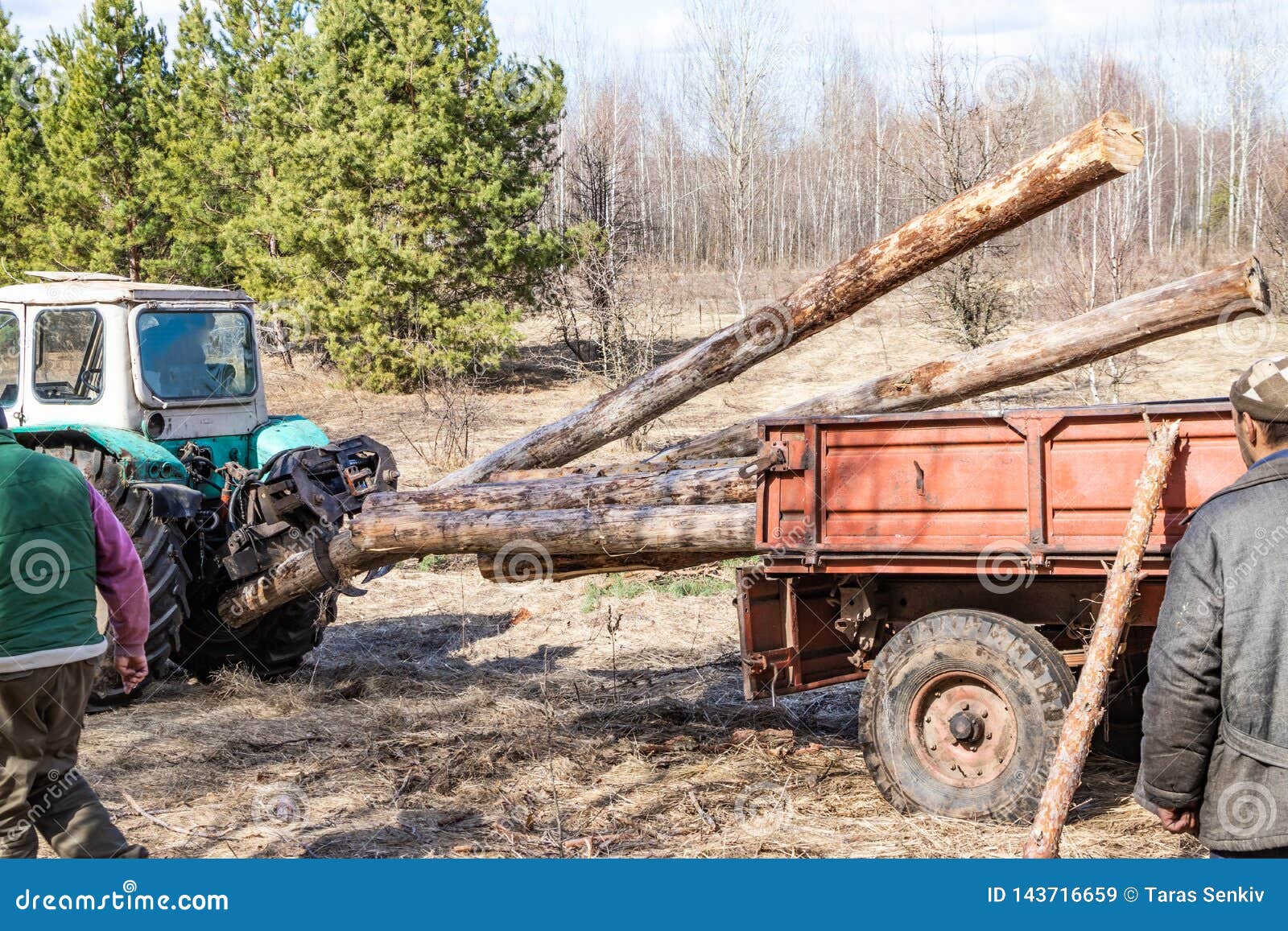 Mechanical Loading and Transportation of Pine Wood Using a Tractor ...
