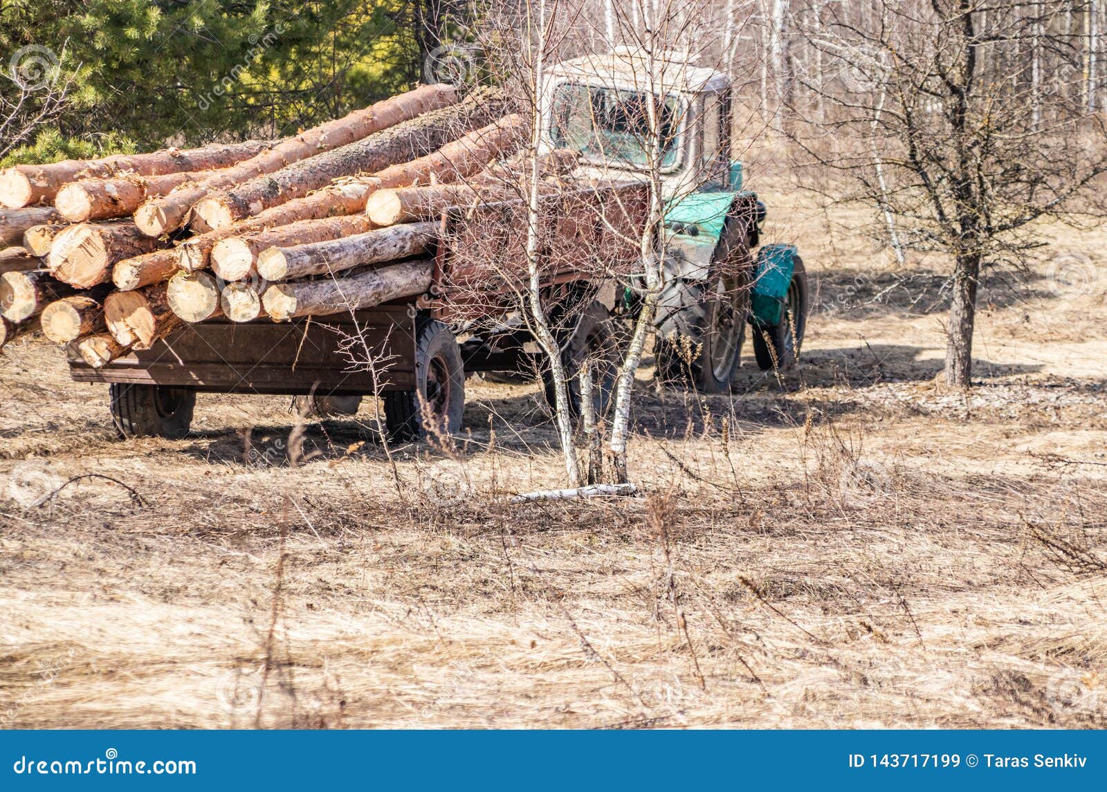 Mechanical Loading and Transportation of Pine Wood Using a Tractor ...