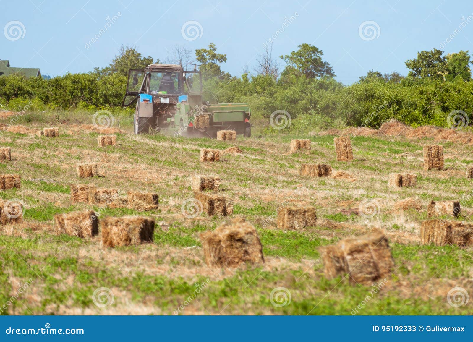 Mechanical packing hay stock image. Image of mowing, nature - 95192333