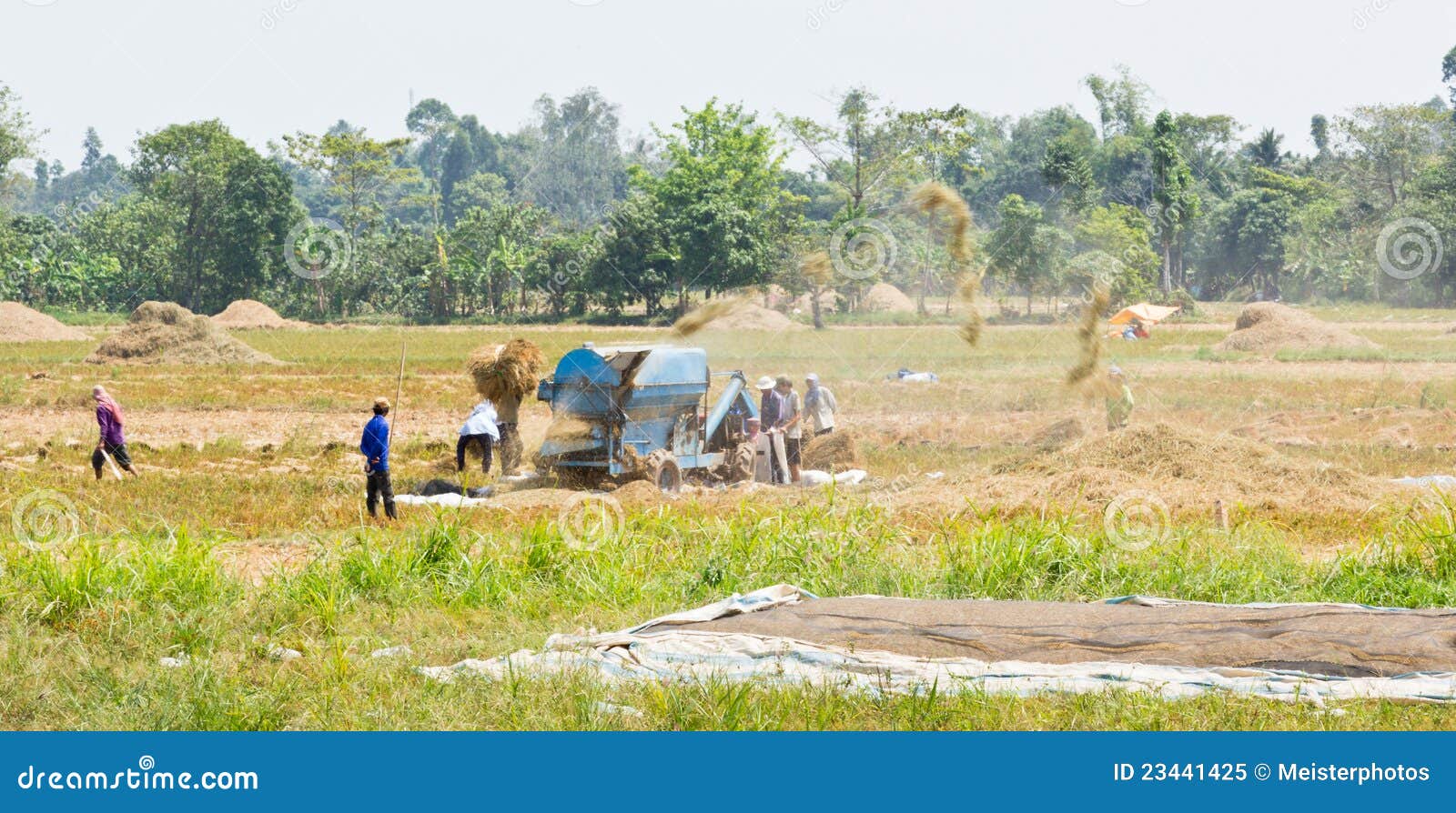 Mechanical rice threshing editorial image. Image of machine - 23441425