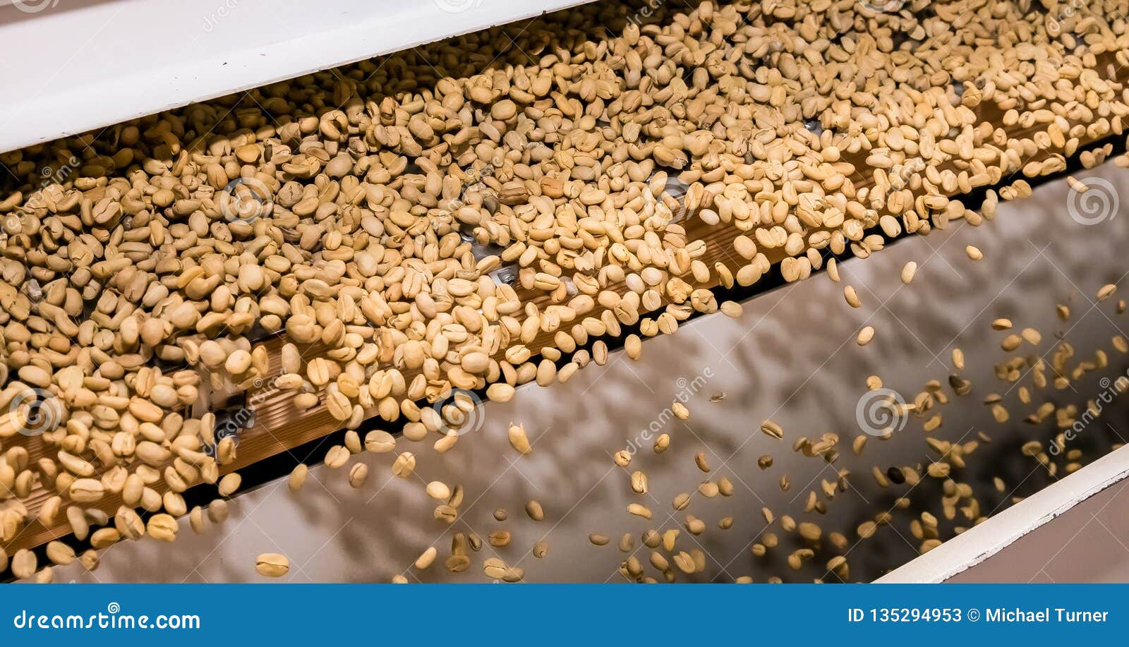 Raw Coffee Bean Sorting and Processing in a Factory Stock Image - Image ...
