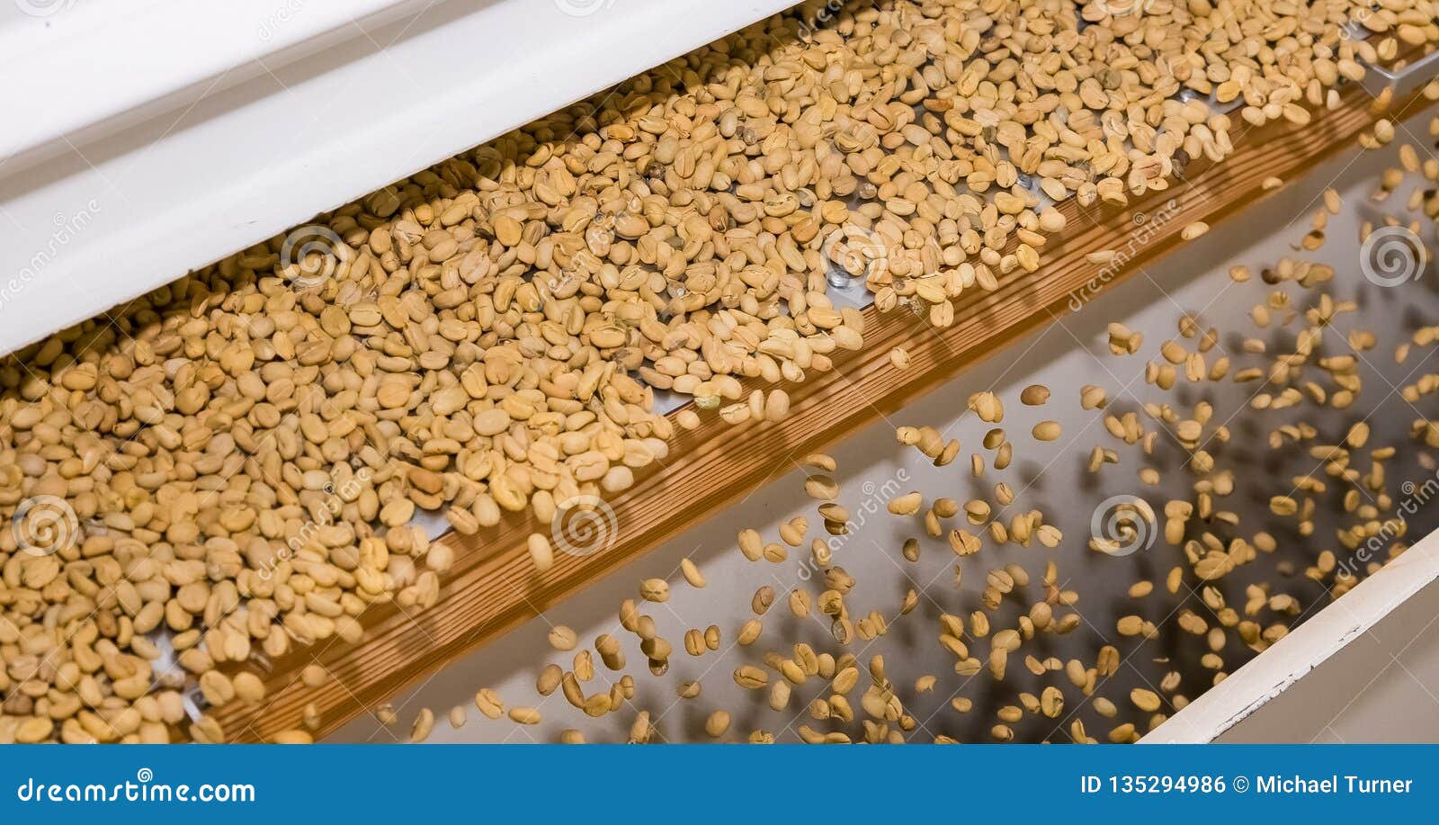 Raw Coffee Bean Sorting and Processing in a Factory Stock Photo - Image ...
