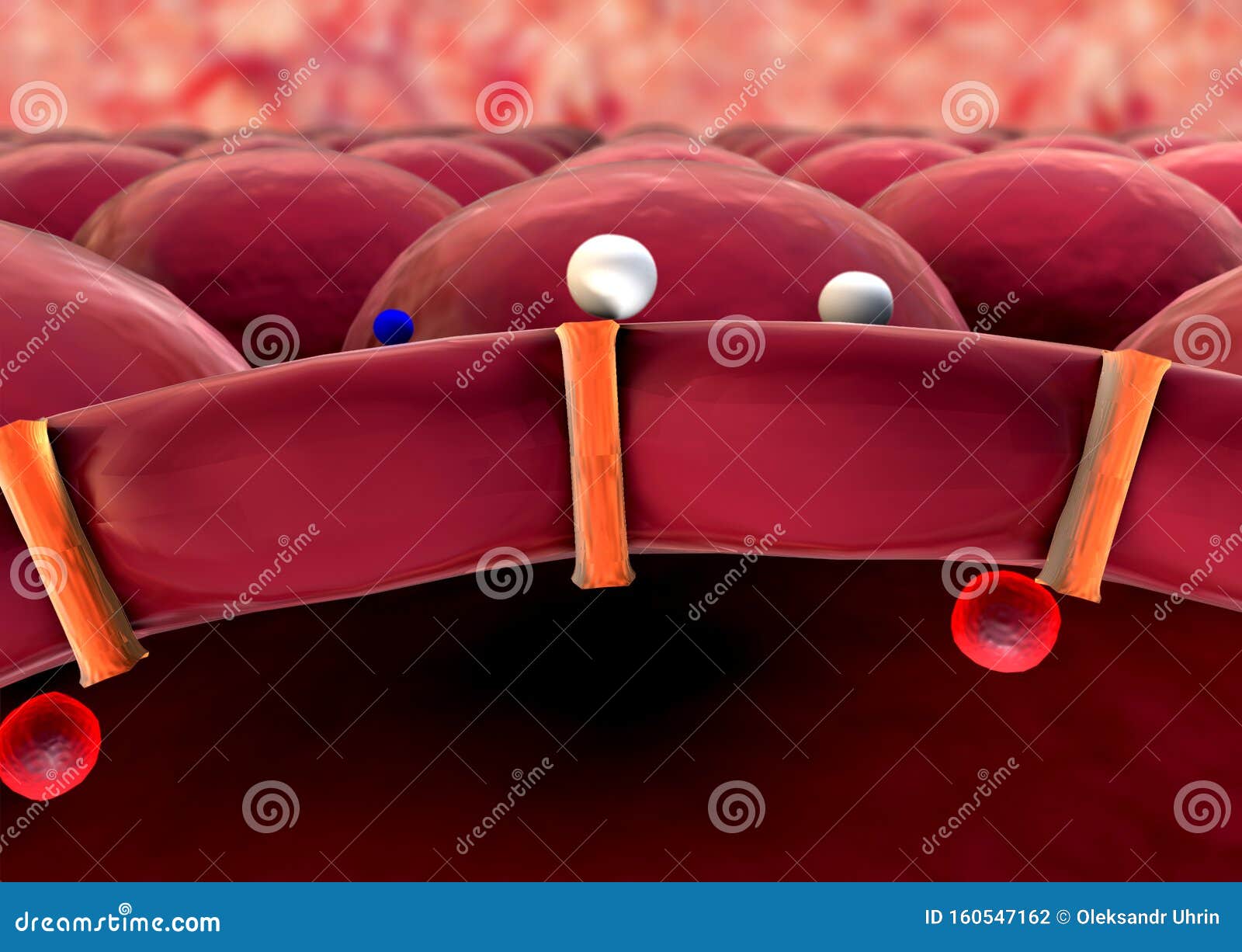 Structure Of The Molecule Stock Photography | CartoonDealer.com #160547162