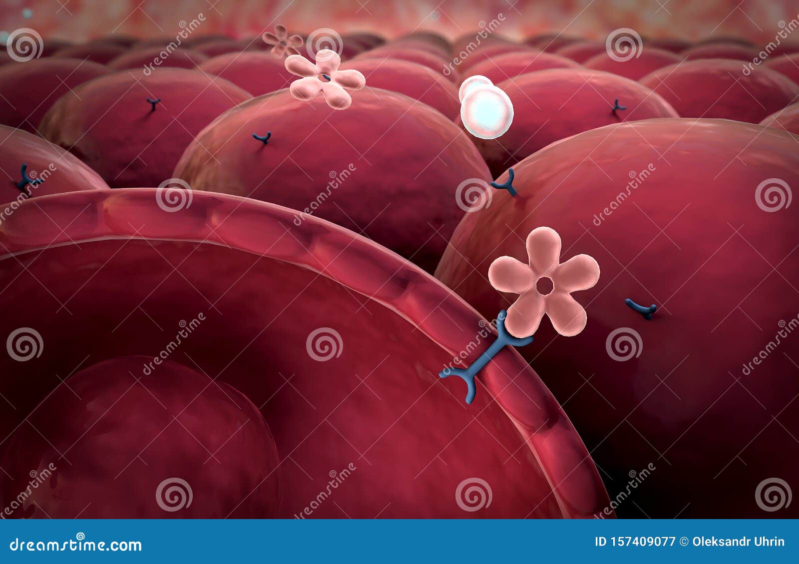 Mechanism of Action of Insulin Stock Illustration - Illustration of ... Mechanism of Action of Insulin Stock Illustration - Illustration of ...