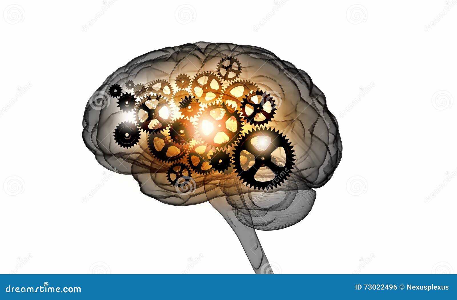Mechanism Inside Human Brain Stock Illustration - Illustration of ...