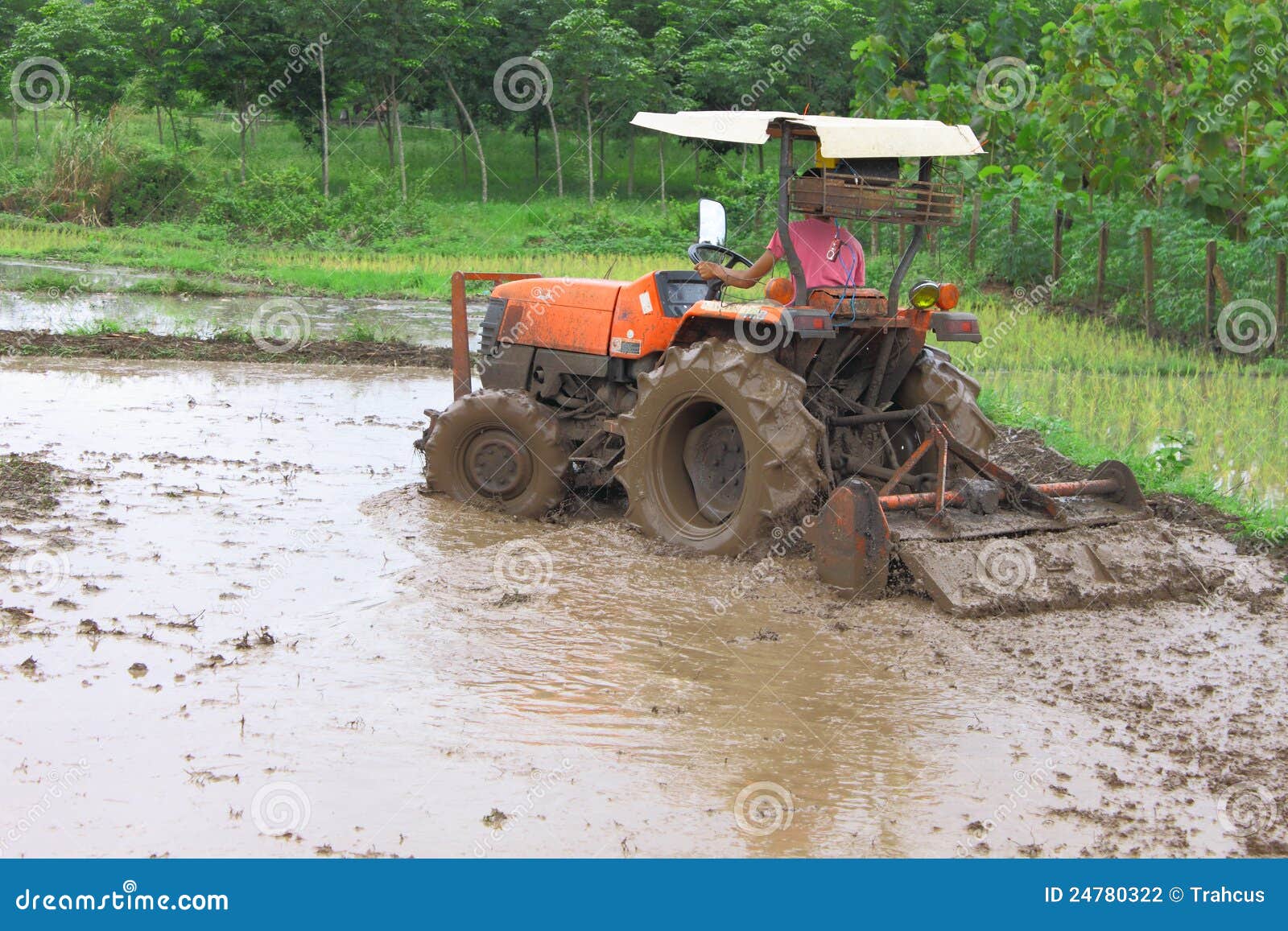 Mechanization of Thai Farmer for Rice Cultivation Stock Photo - Image ...