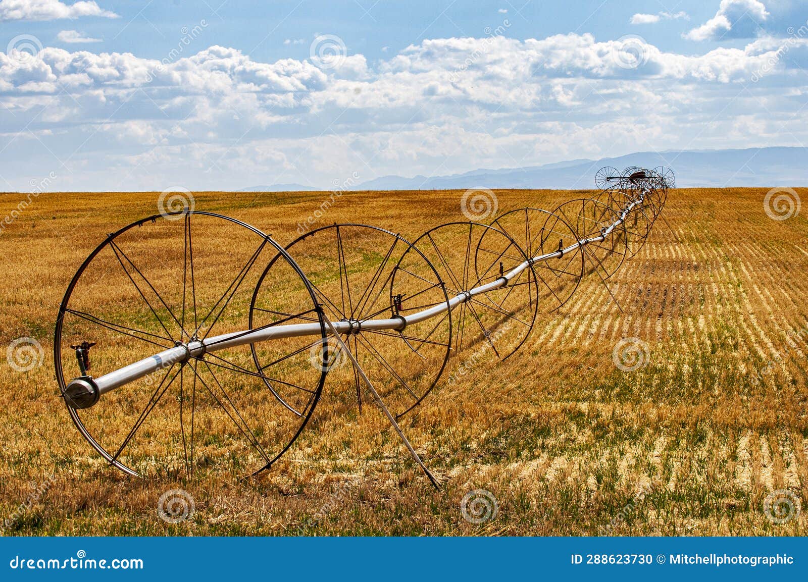 Mechanized Irrigation System in Wyoming Stock Photo - Image of outdoors ...
