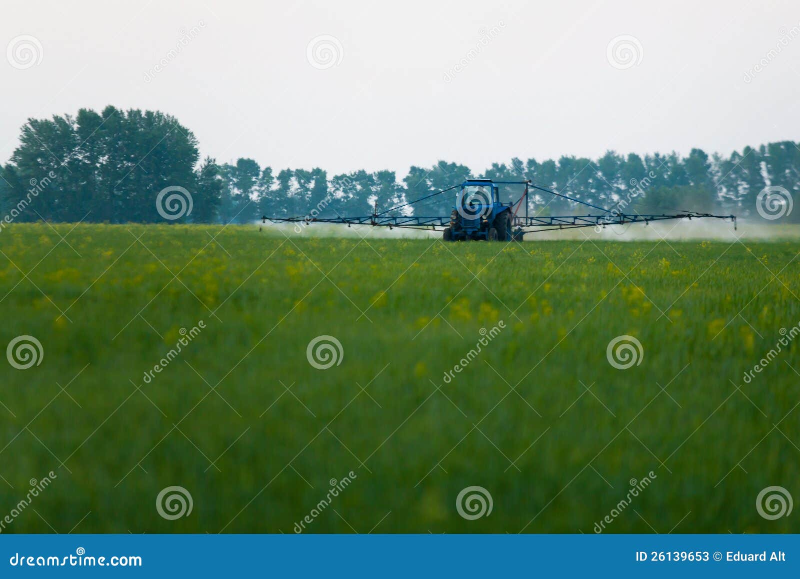 Mechanized Processing Fields Fertilization Stock Image - Image of ...