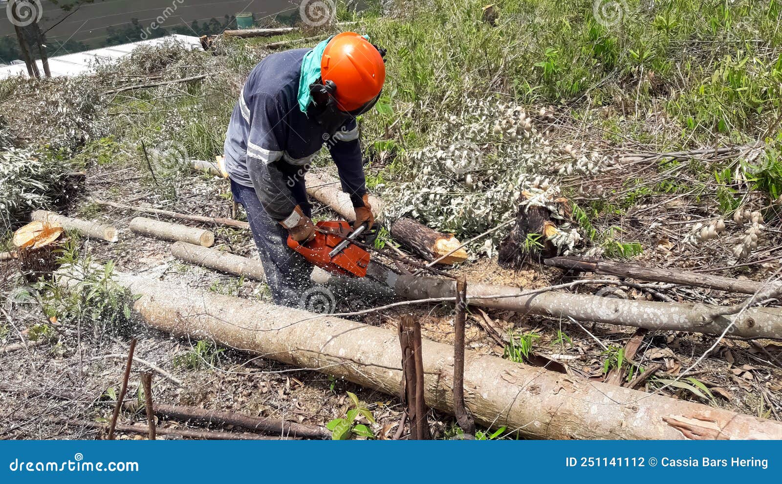 Worker Cutting Trees with an Eletric Saw. Stock Photo - Image of issues ...