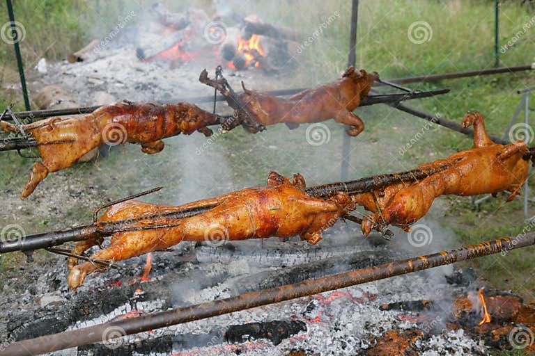 Mechoui stock photo. Image of cooking, hunger, event - 26827756