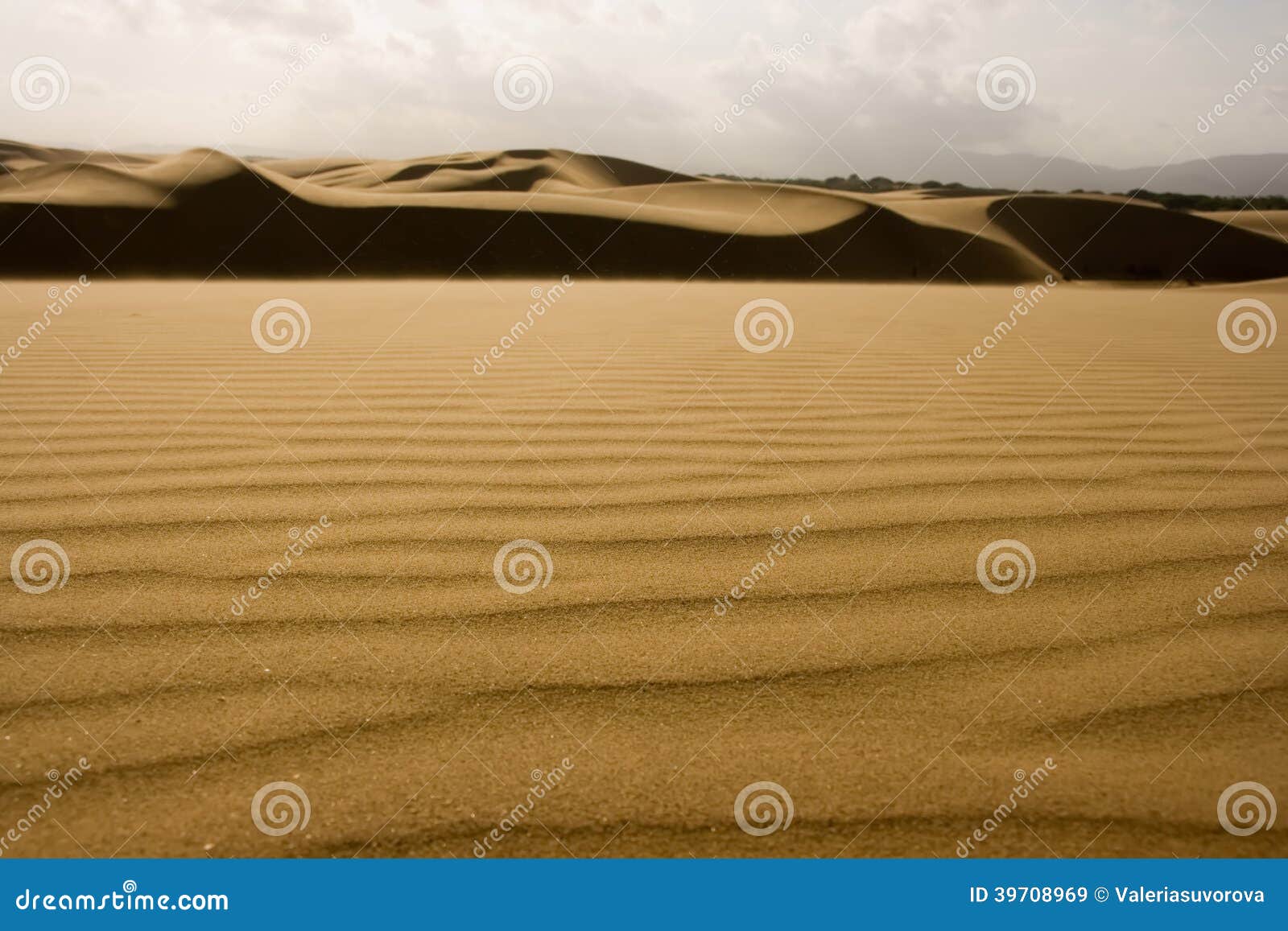 Medanos del Coro image stock. Image du course, ondes - 39708969