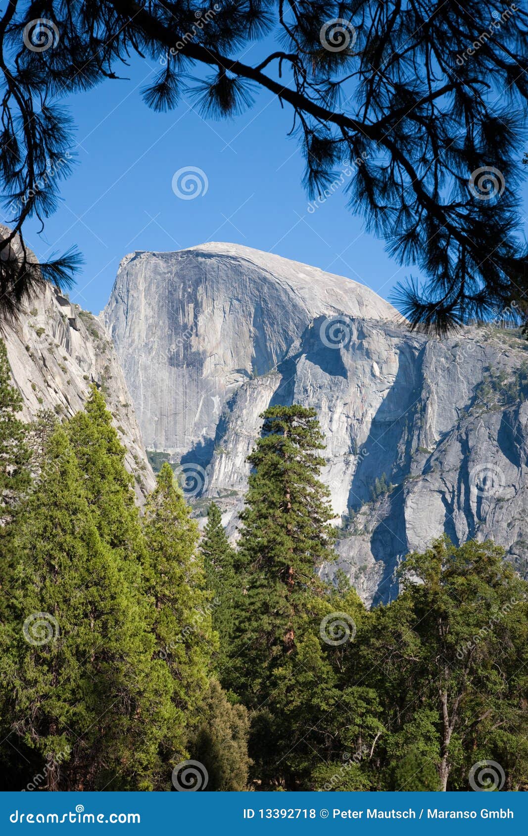 Media bóveda foto de archivo. Imagen de hierba, naturalizado - 13392718