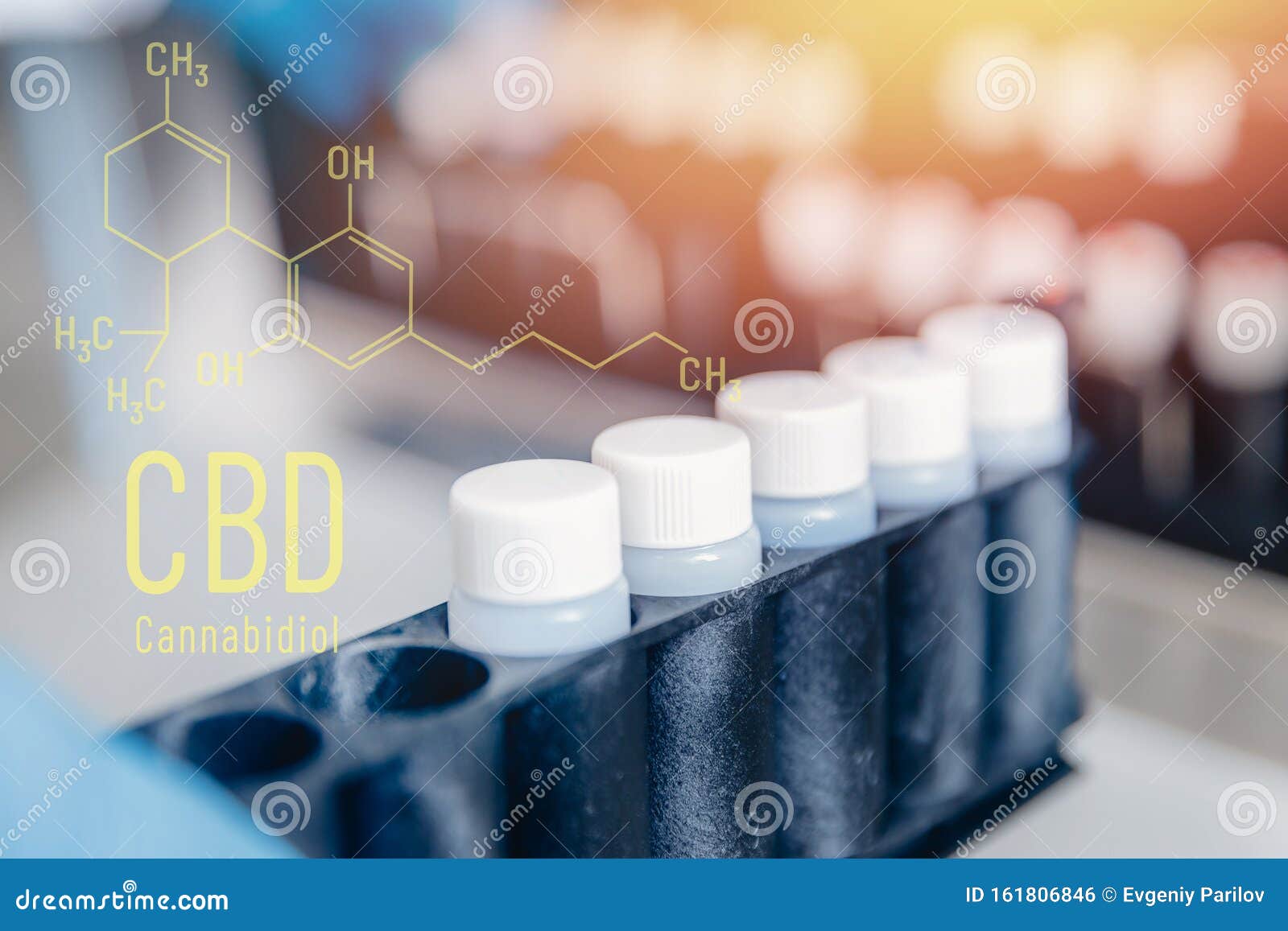 Medic Chemist Holds Marijuana Research Samples for Analysis Content Cbd ...