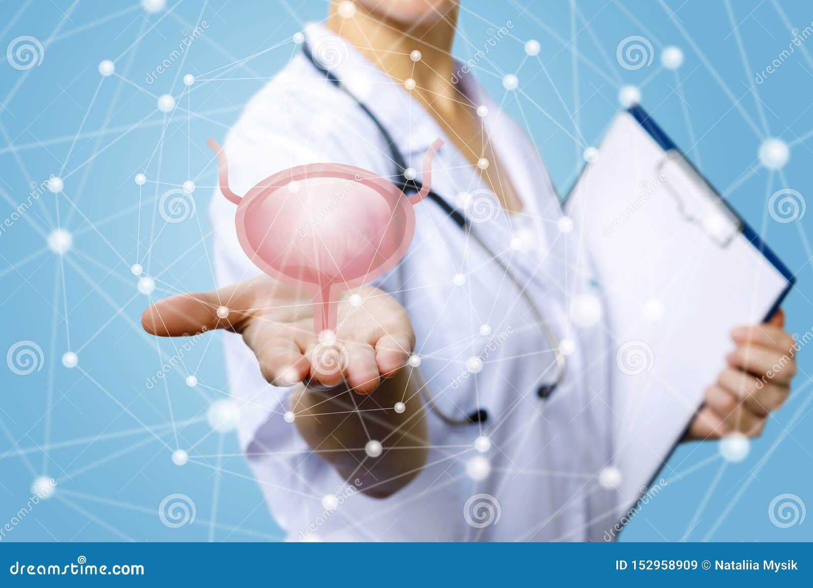 Medic shows bladder stock image. Image of medicine, diagnosis - 152958909