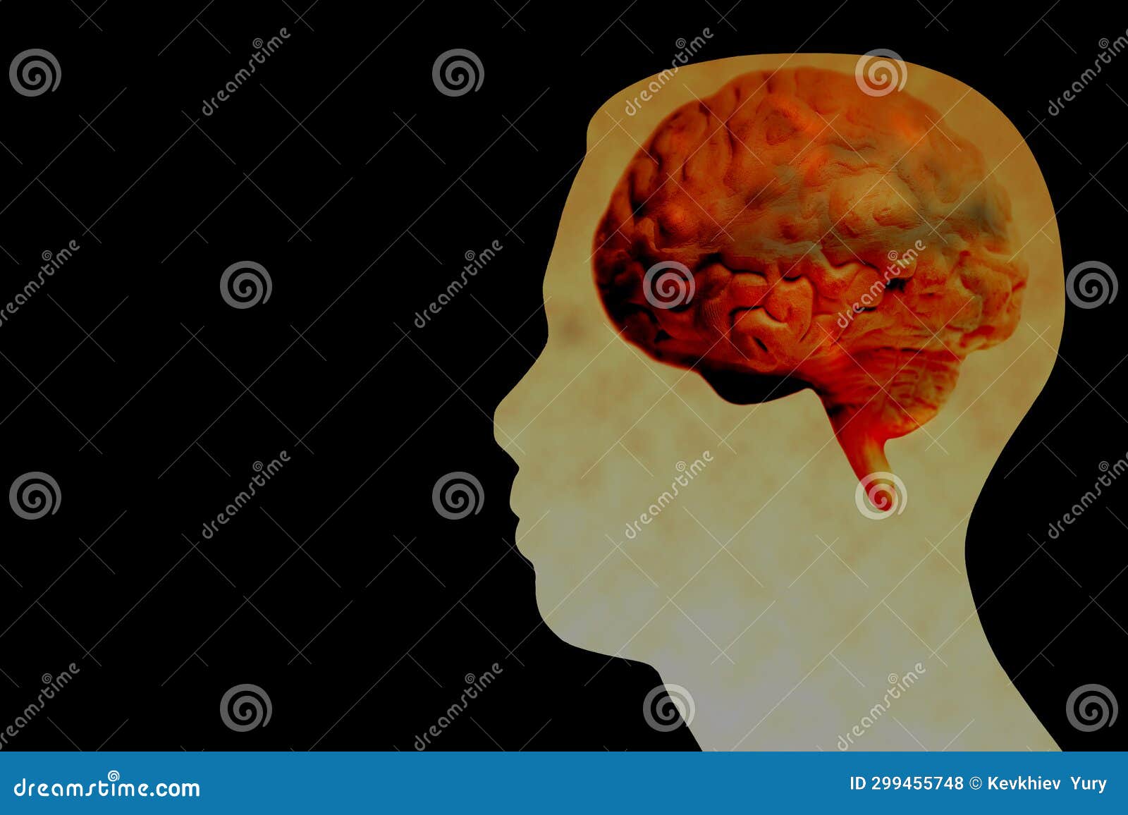 Medical Acupuncture Model of Human with Brain Anatomical Model Stock ...