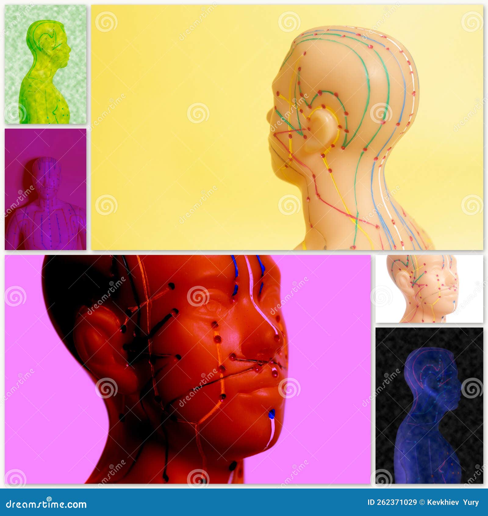 Medical Acupuncture Model of Human in Different Poses Stock Image ...