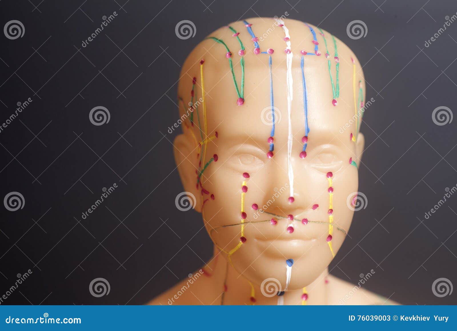 Medical Acupuncture Model of Human Head on Black Stock Image - Image of ...