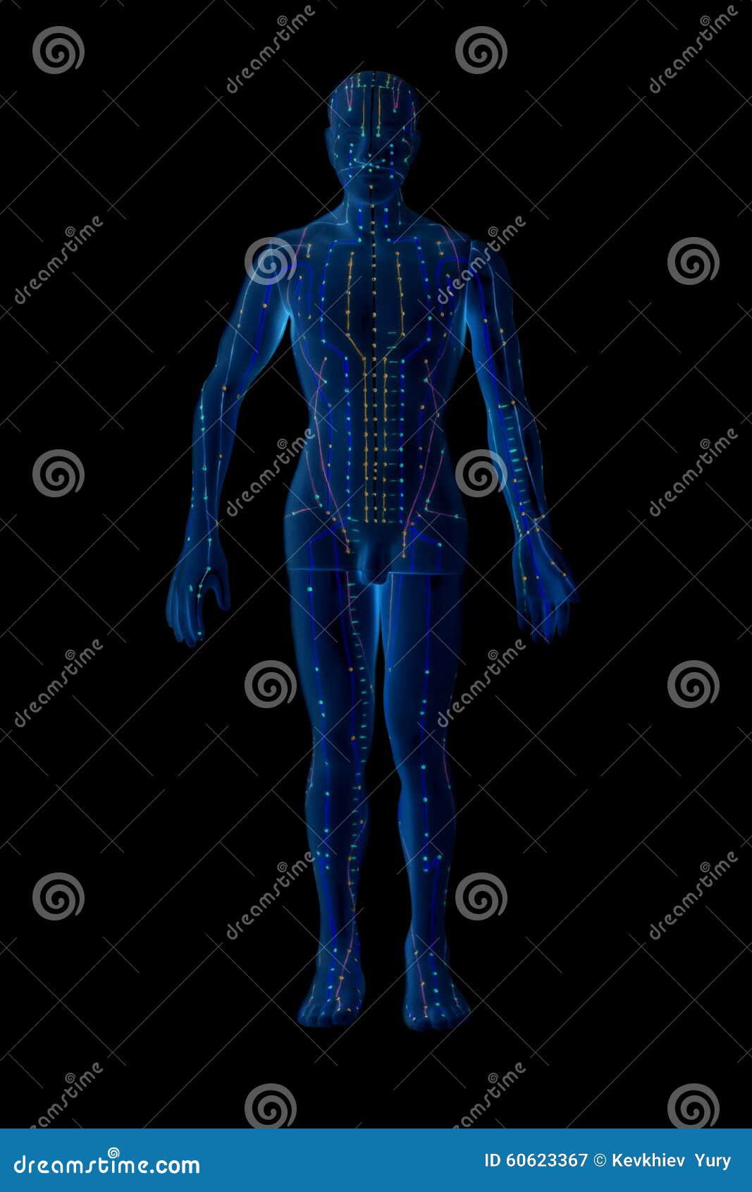 Medical Acupuncture Model of Human Stock Image - Image of black, design ...