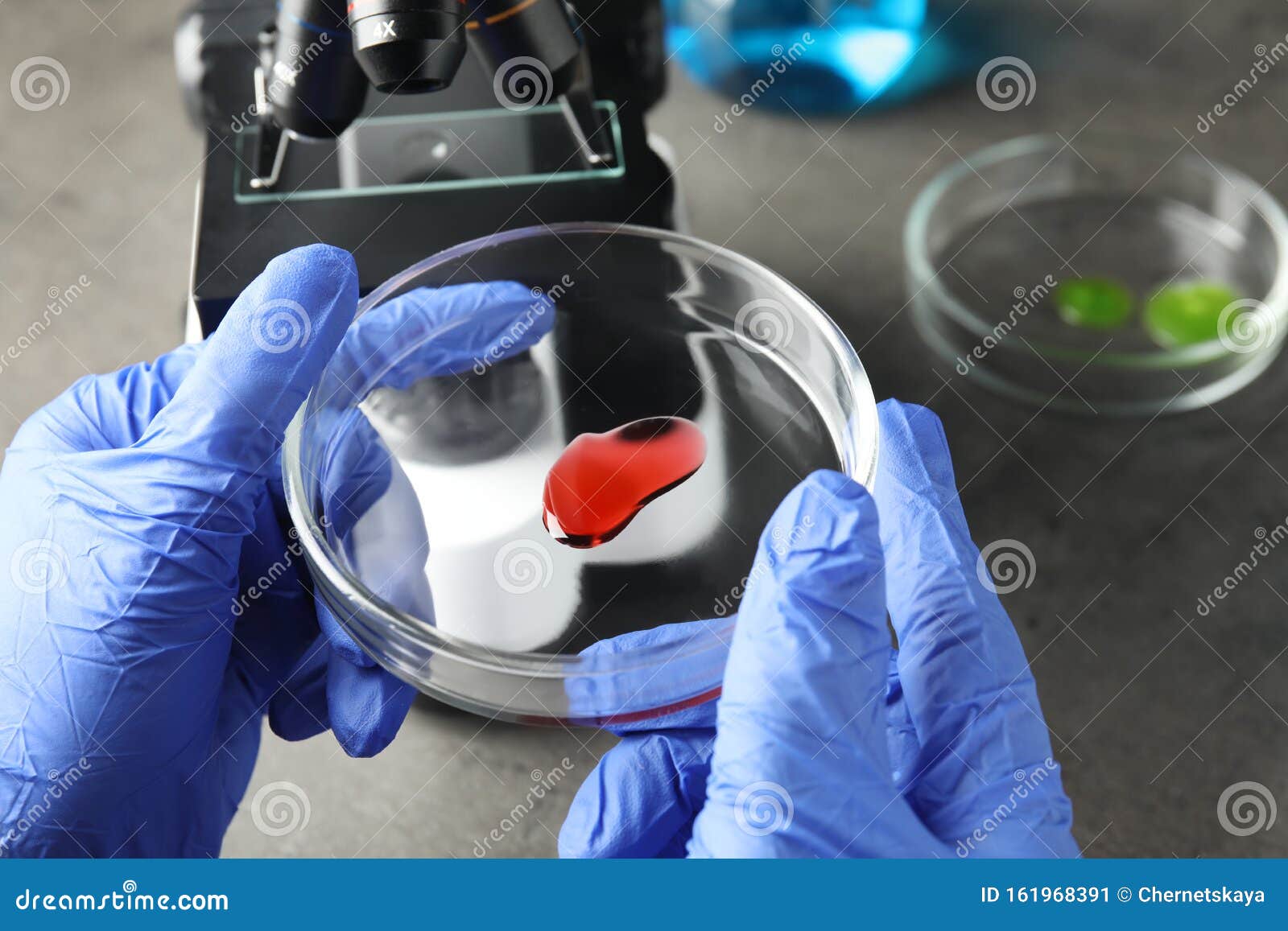 Medical Assistant Holding Laboratory Glassware with Sample at Table ...