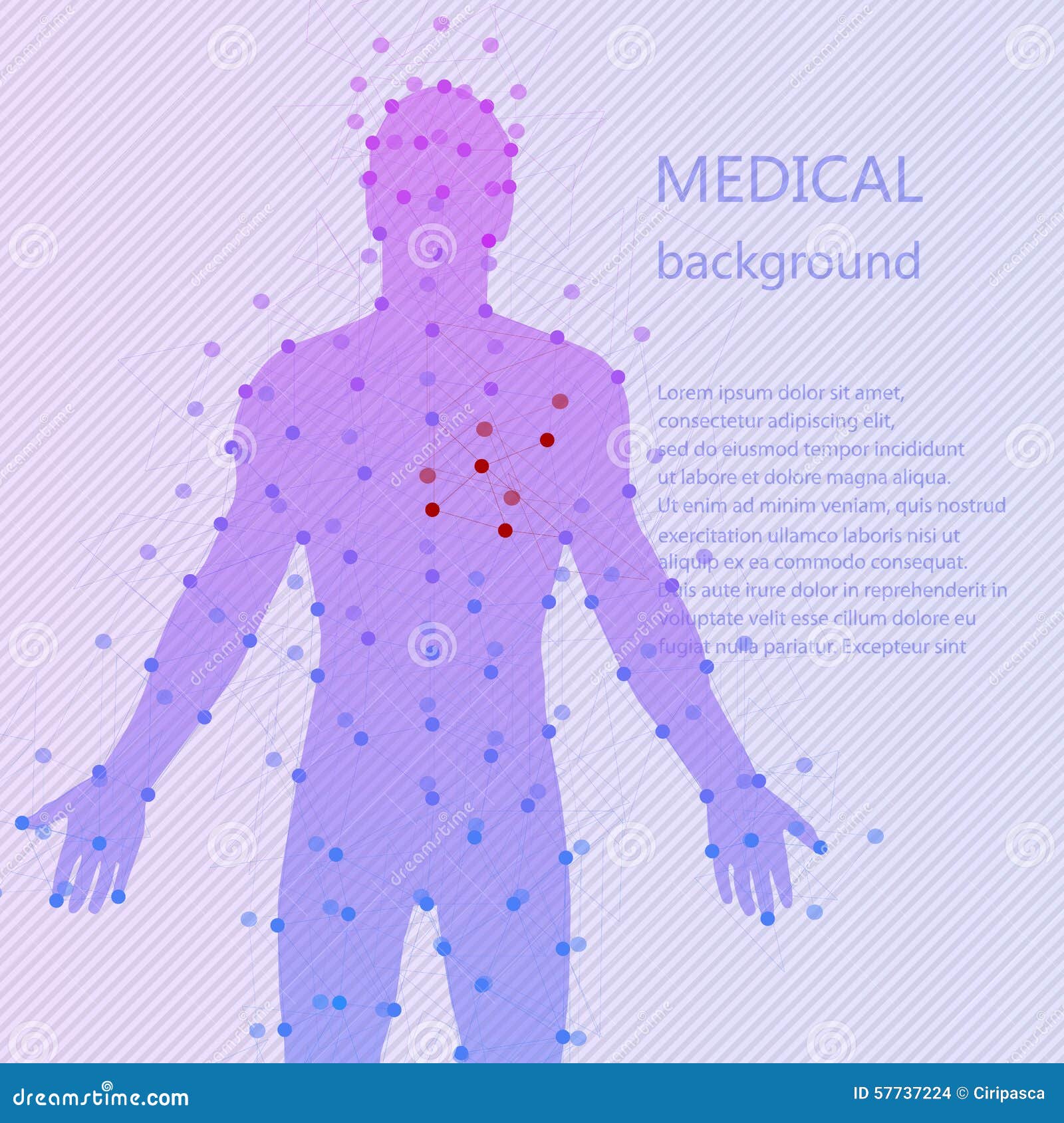 Medical Background. Human Anatomy Vector Illustration | CartoonDealer ...