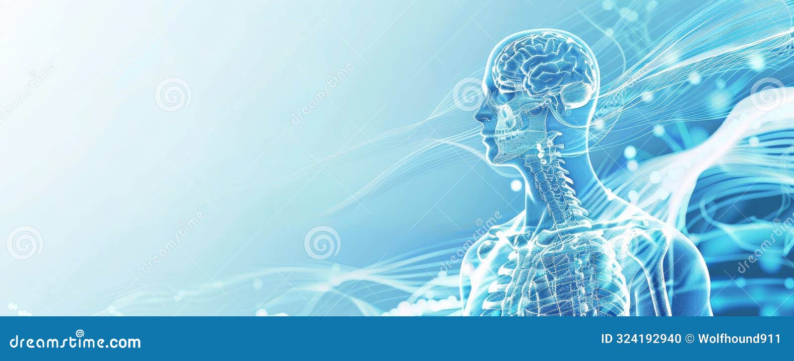 Medical Background with a Light Blue Gradient, Showcasing Detailed ...