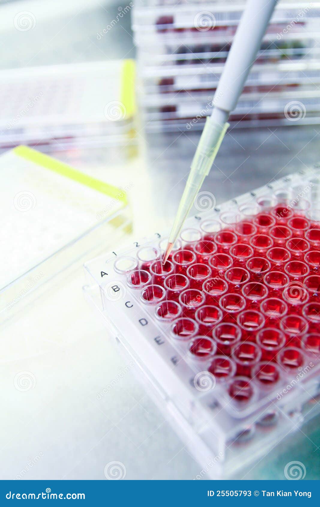 Medical Biotechnology Science Experiment Stock Image - Image of science ...