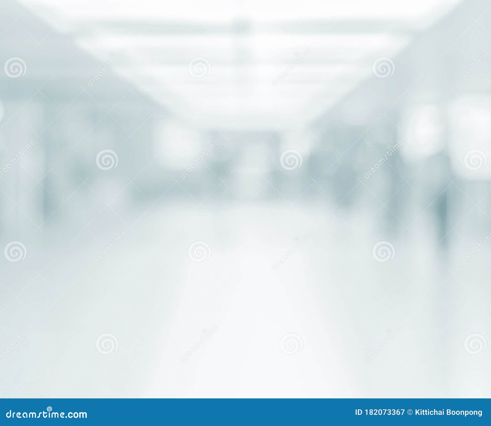 Blurred Background Room Hall Modern White Blank, Empty Hall Blur Room ...