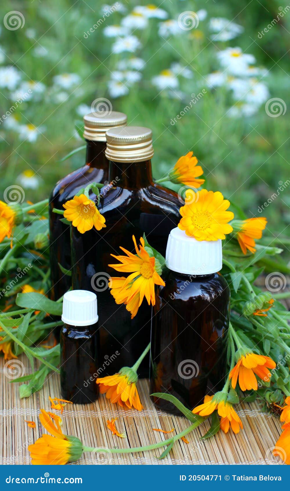 Medical Calendula stock image. Image of tincture, recovery - 20504771