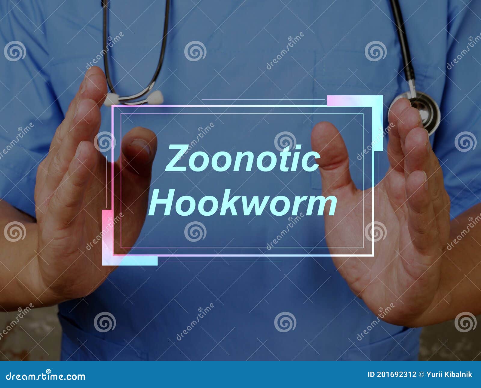 Medical Concept Meaning Zoonotic Hookworm with Phrase on the Page Stock Photo - Image of support ...