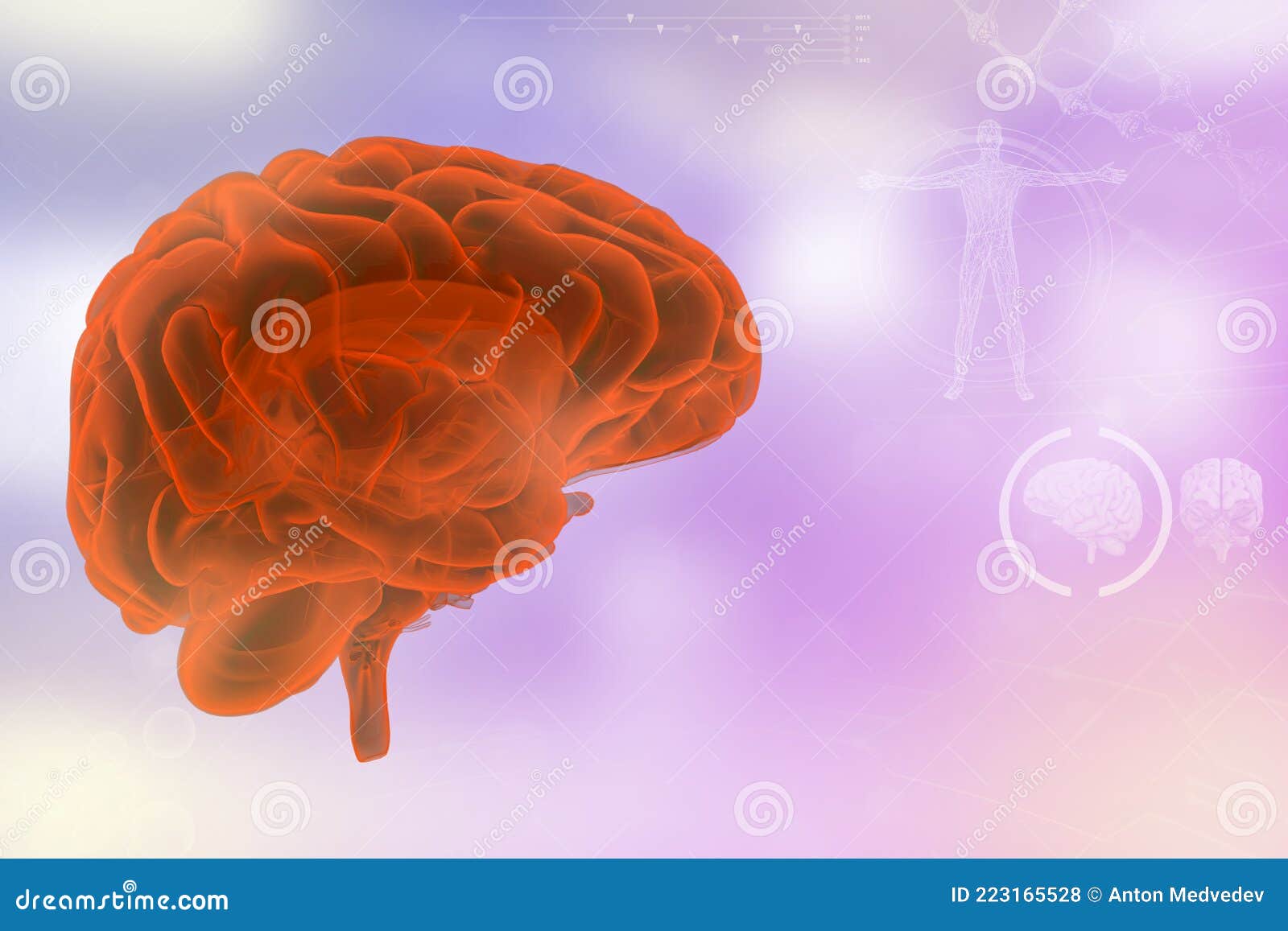 Medical 3d Illustration Human Brain Alzheimer Discovery Concept