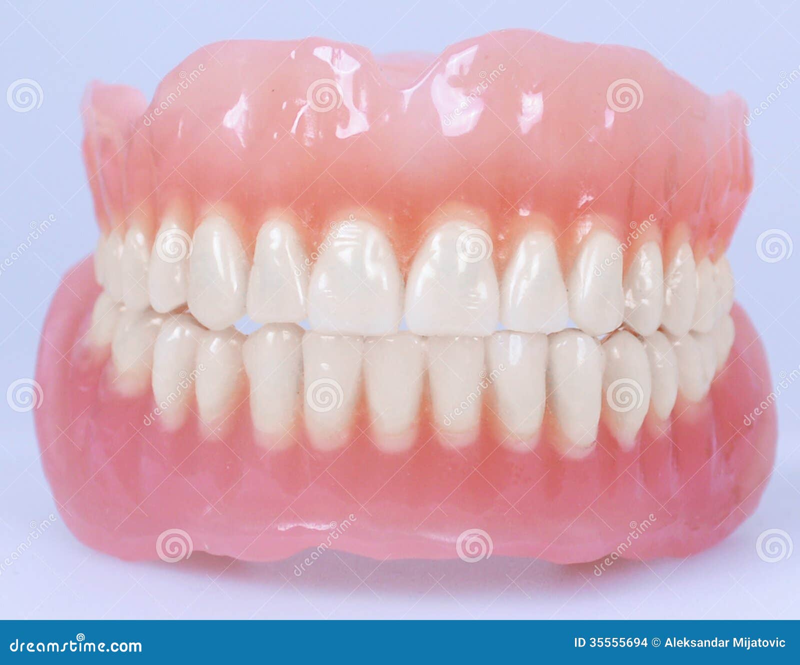 Medical Denture Royalty-Free Stock Photography | CartoonDealer.com ...