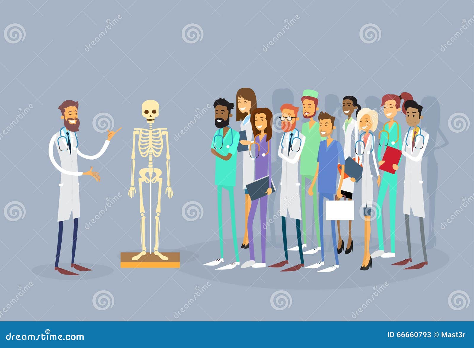 Medical Doctors Group People Intern Lecture Human Body Skeleton Study ...