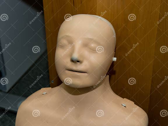 Medical Dummies during the First Aid Training. Close Up. Stock Photo ...