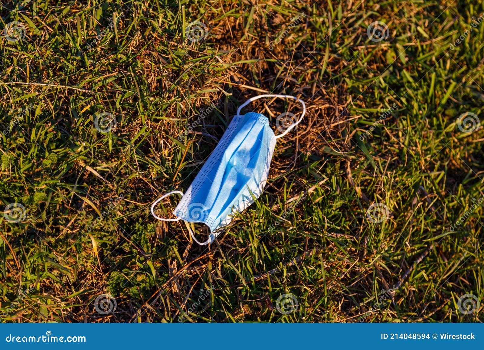 Medical Face Mask Fallen on the Grass Stock Photo - Image of covid ...