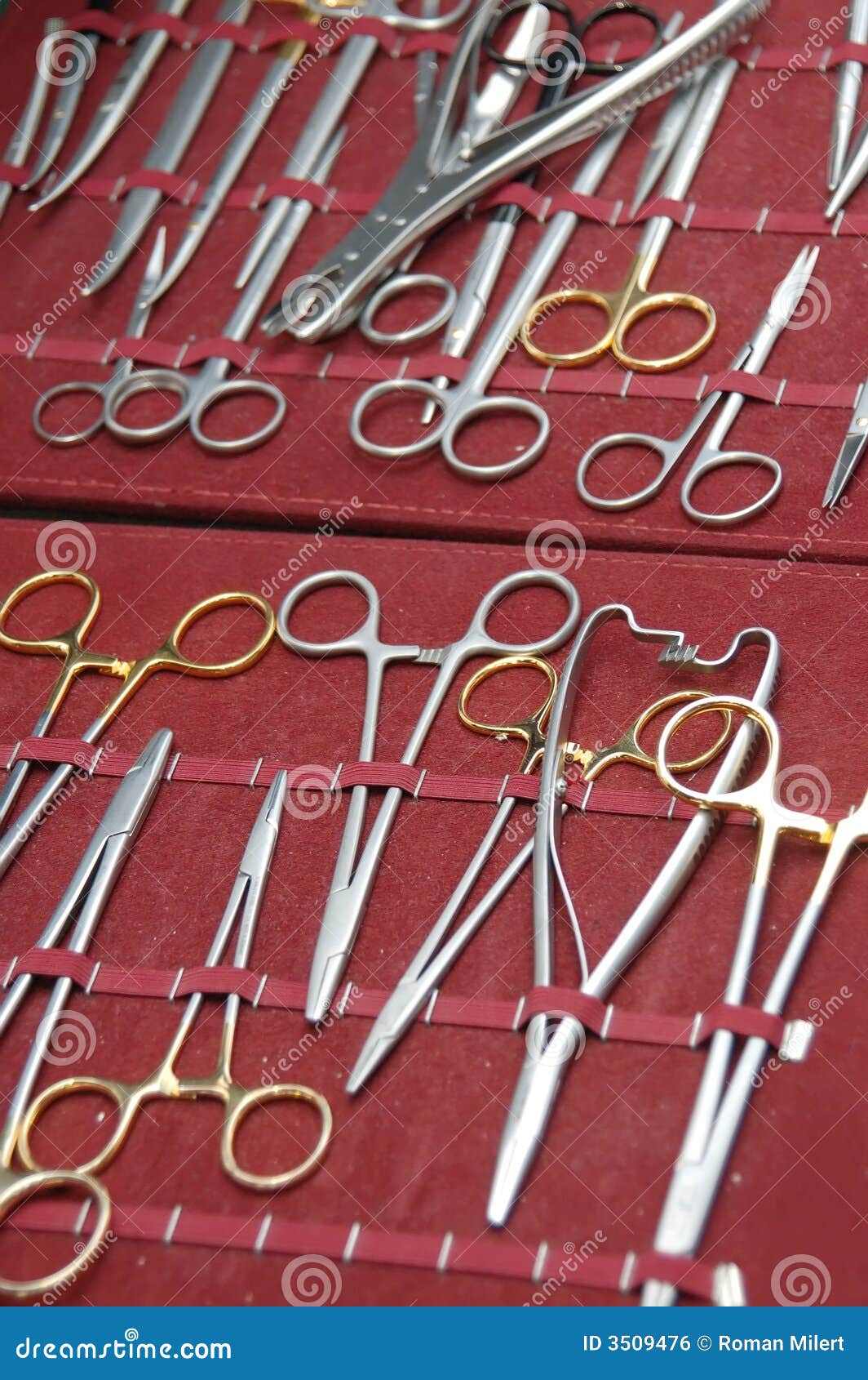 Medical forceps stock photo. Image of medicine, forceps - 3509476