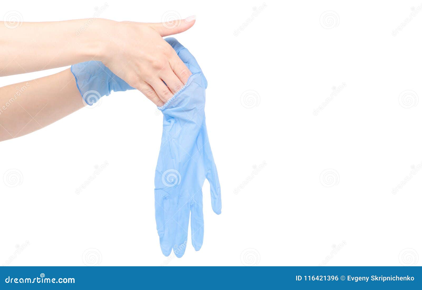 Medical gloves in hand stock photo. Image of human, nurse - 116421396